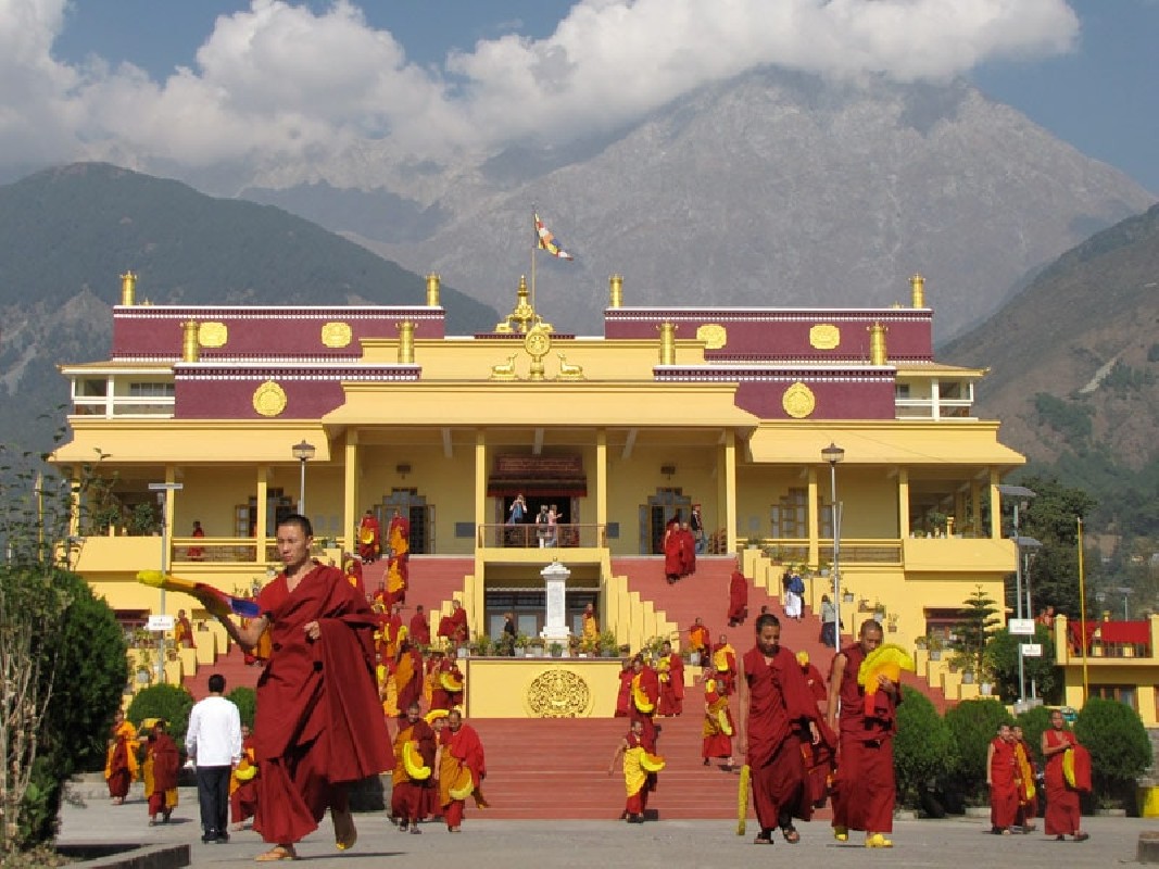 Stuff to do - The Organic Homestay in Dharamshala and Manali.